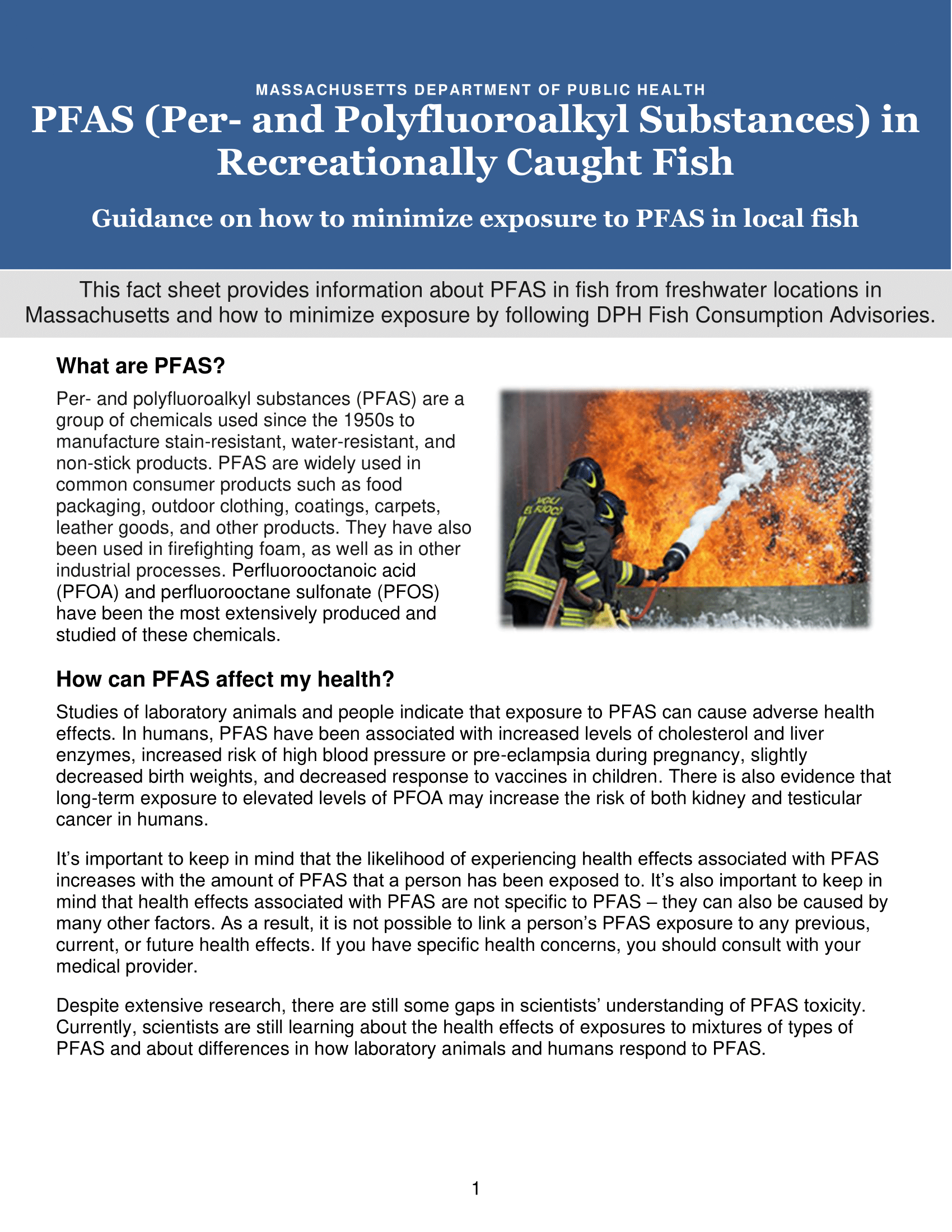 Fish Consumption Advisory - Town of Groton